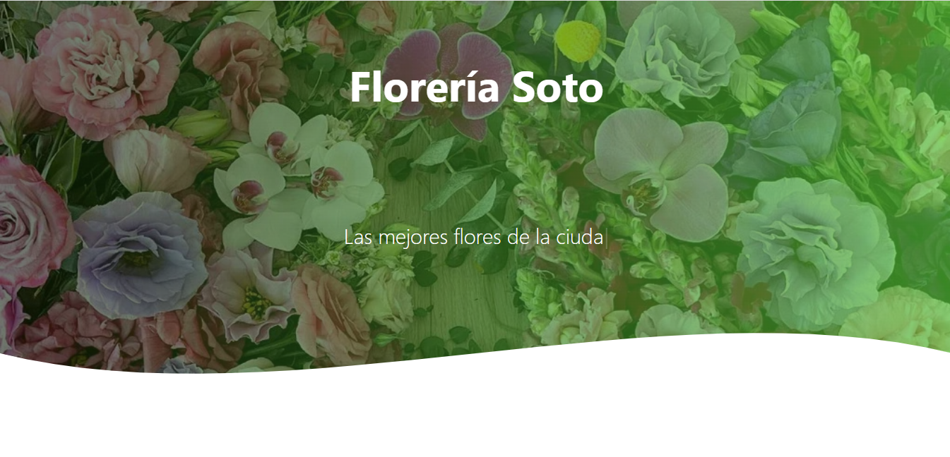 Anahí Soto | Desarrollo Web Front-End